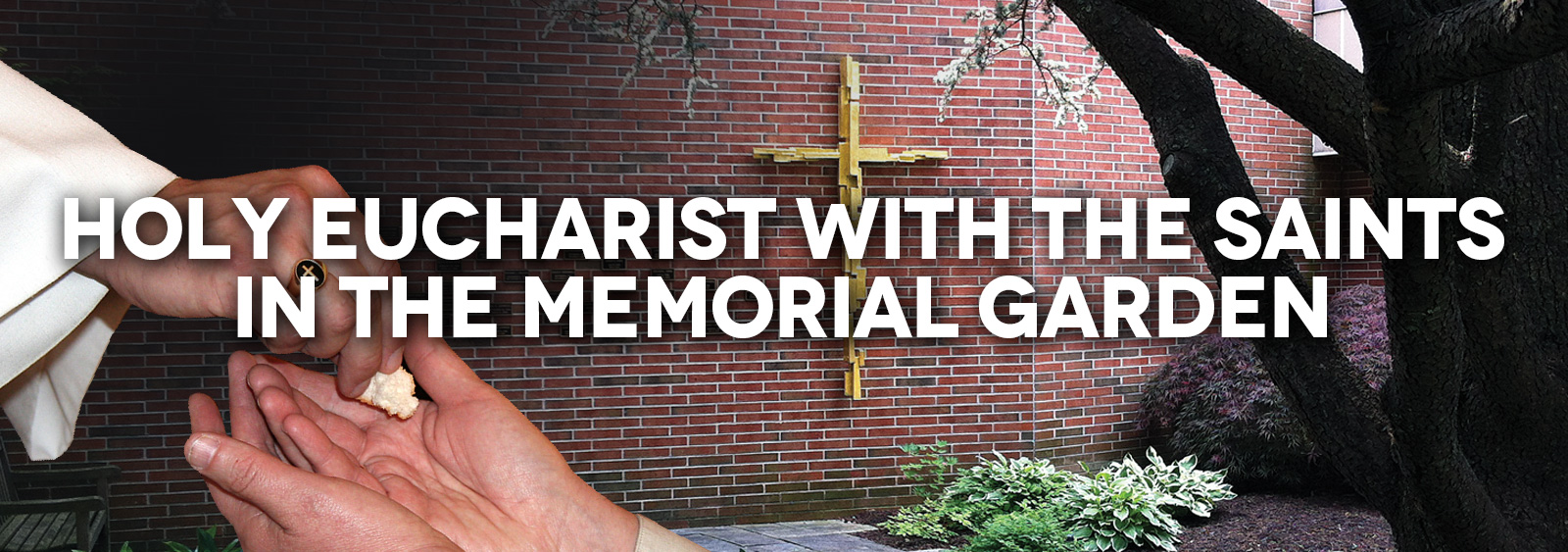 Lutheran Church of the Good Shepherd | Home